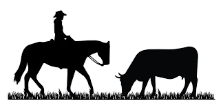 Willow Springs Alliance